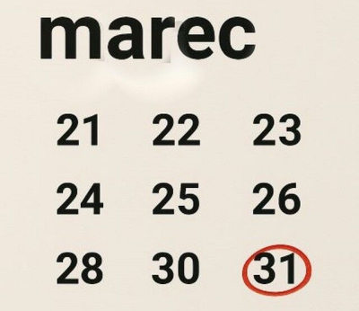 Pozor: novi rok za poročanje dopolnilnih dejavnosti na kmetiji je 31 ...